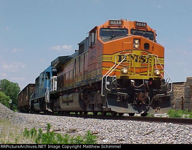 Orange & Blue Leaders